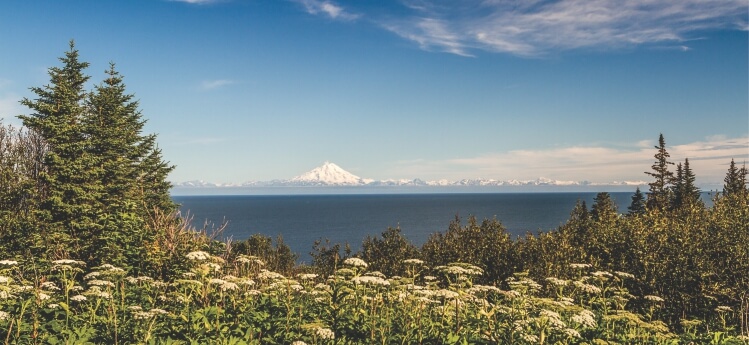 Anchor Point Alaska on the Kenai Peninsula