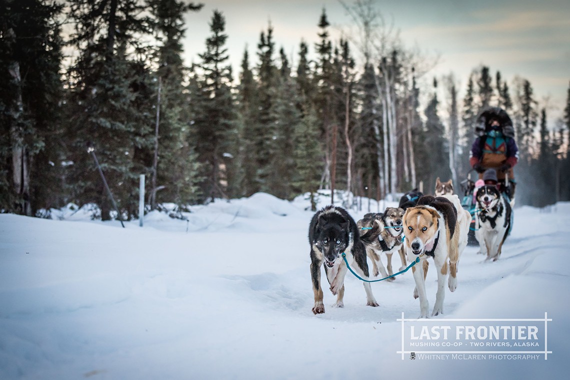 Last Frontier Mushing Co-op - Bell's Travel Guides