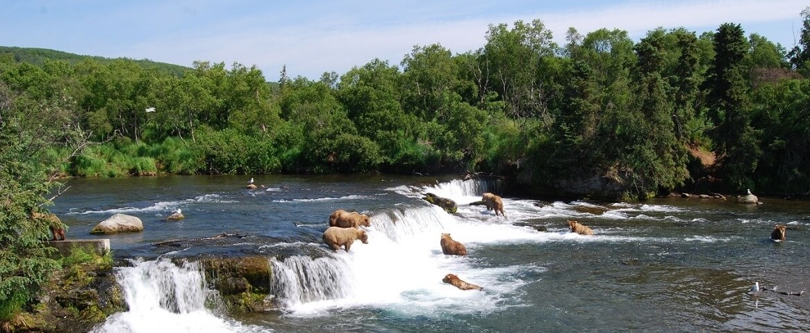 Alaska Tours - Bell's Travel Guides