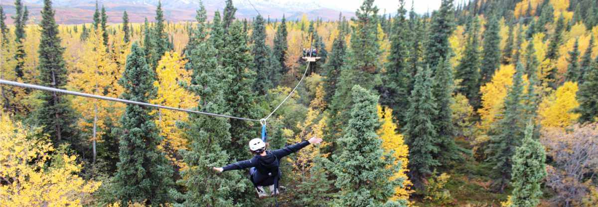 Denali Park Zipline Tours - Bell's Travel Guides