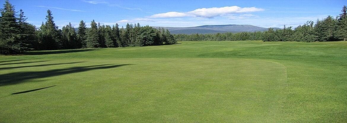 Mountain View Golf Course - Bell's Travel Guides