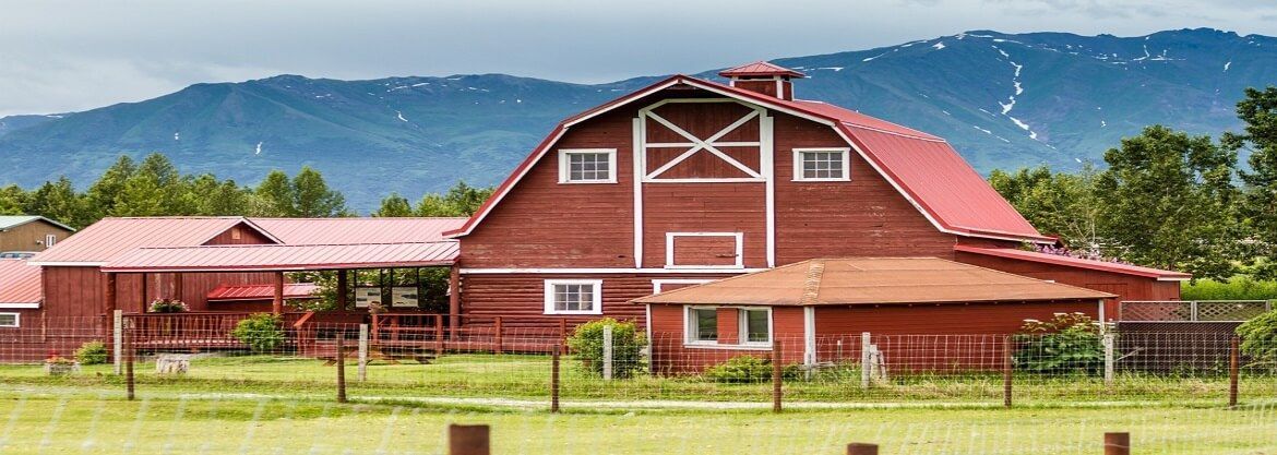Musk Ox Farm - Bell's Travel Guides