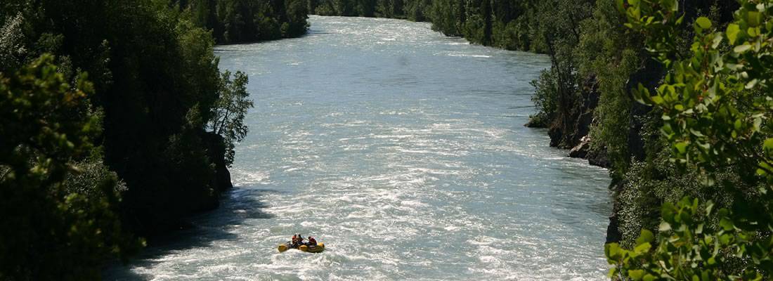 Kenai River Trips - Bell's Travel Guides