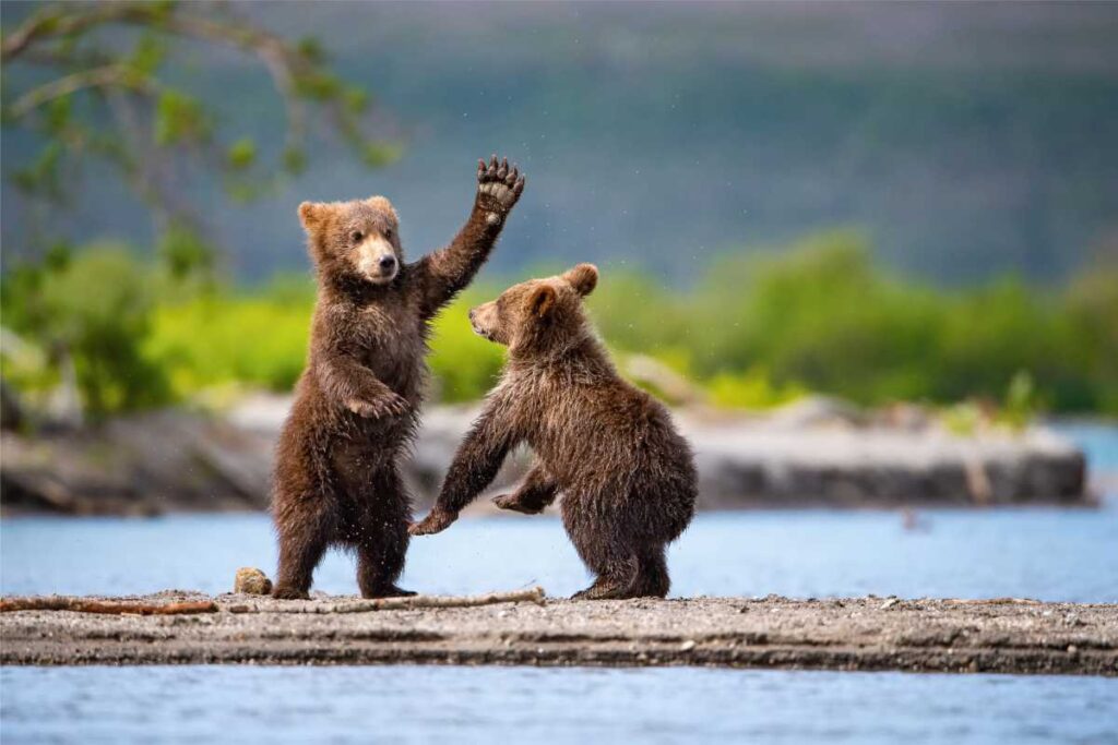 One Week Itinerary Ideas for Alaska: 8 Amazing Trips in 2025