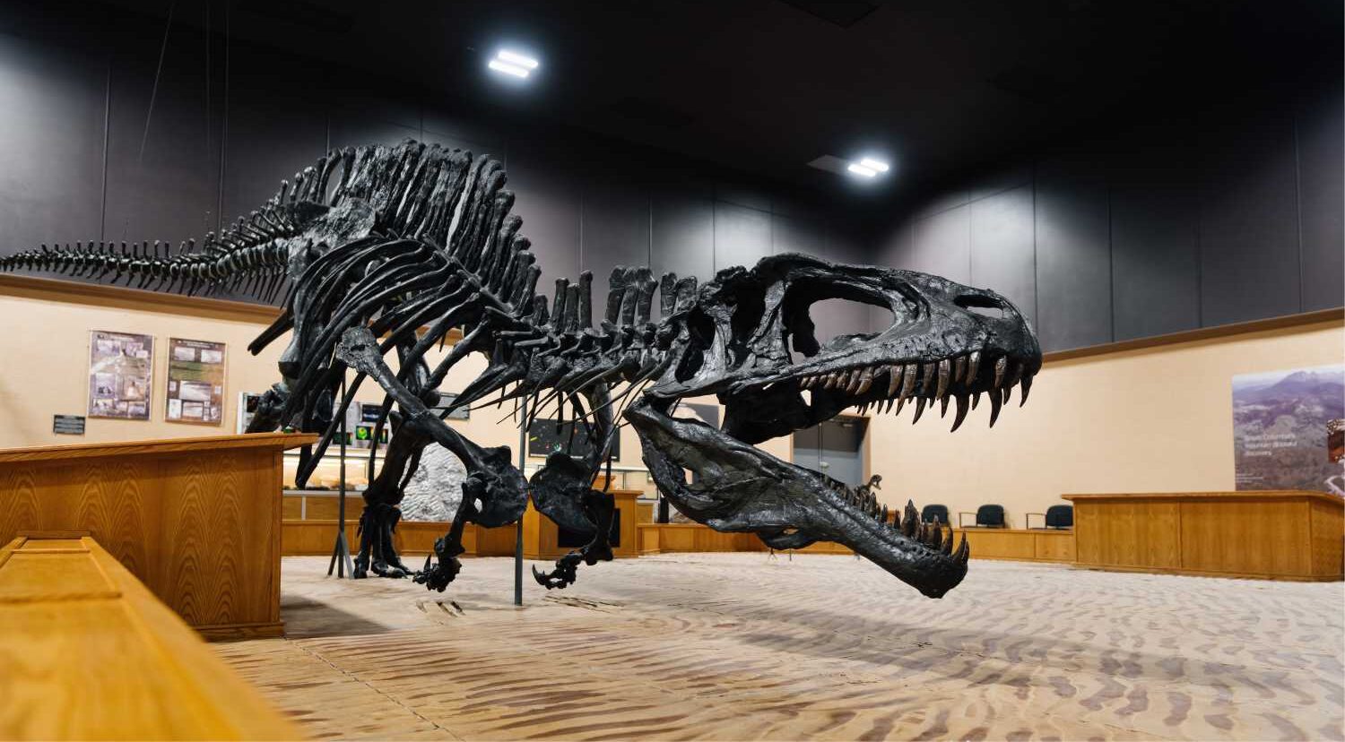 Tumbler Ridge Museum Foundation - Bell's Travel Guides