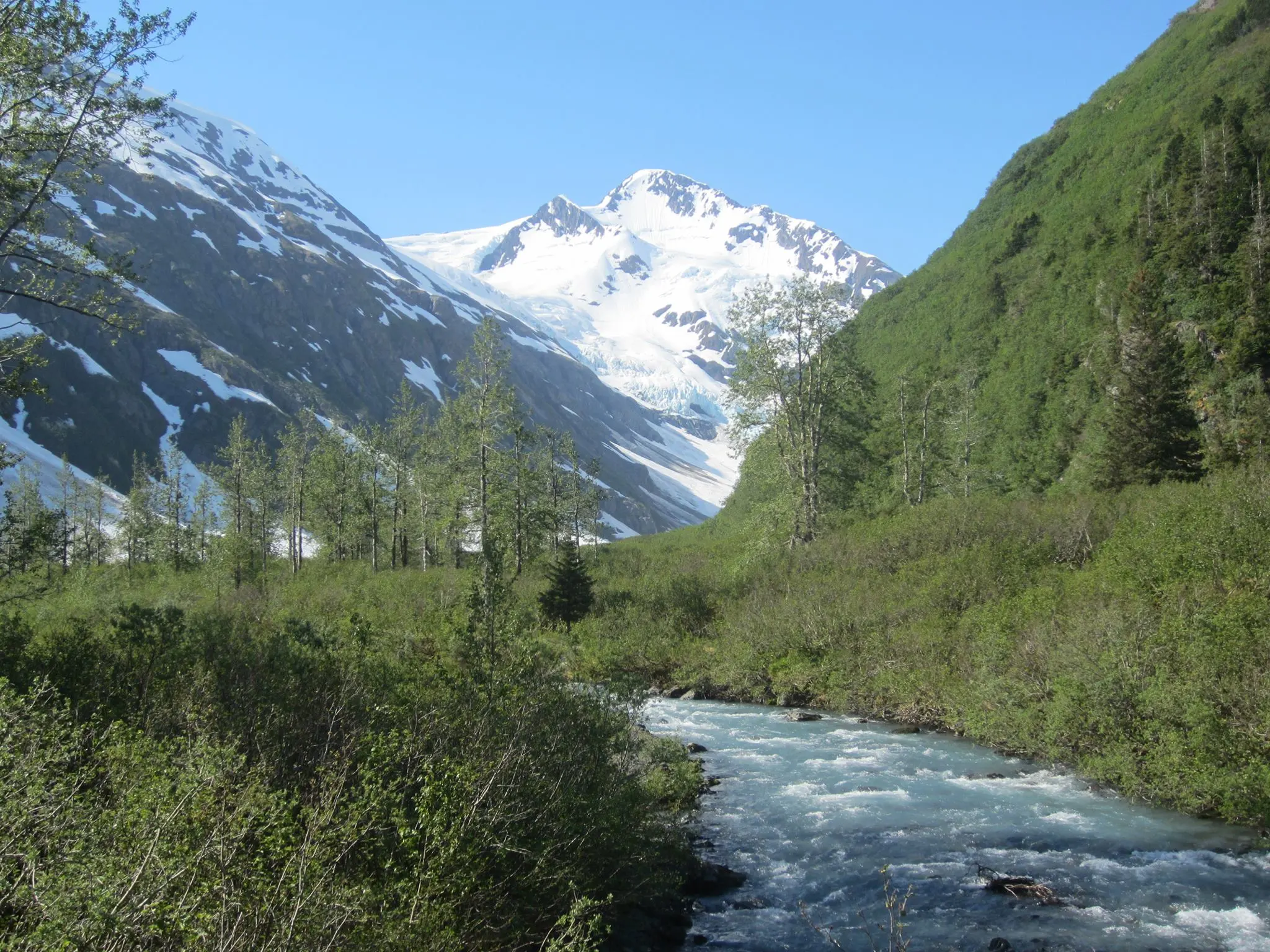 Alaska's Finest Tours - Bell's Travel Guides