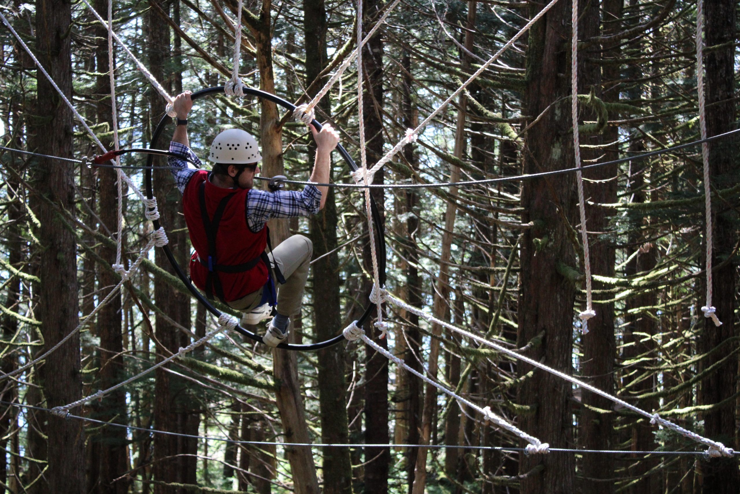 Sheet'ka Tree Top Adventures - Bell's Travel Guides